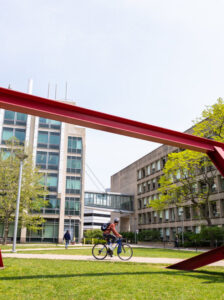 The Benefits of a Flat Team Structure | MITIMCo