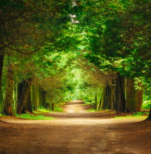 Emerging Managers | MITIMCo